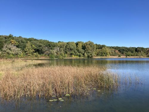 Best Hikes and Trails in Seven Lakes State Park | AllTrails