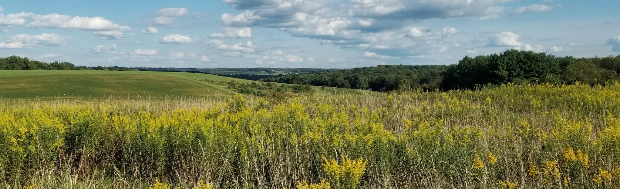 Shelter via Sandy Valley Trail: 18 Reviews, Map - Ohio | AllTrails