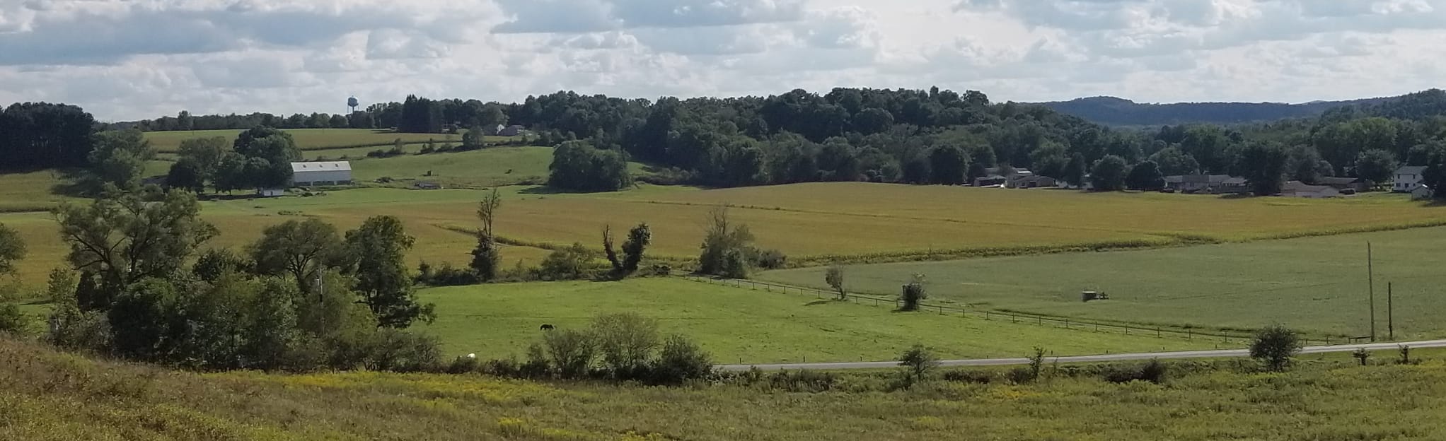 Sandy Valley Trail: 31 Reviews, Map - Ohio | AllTrails