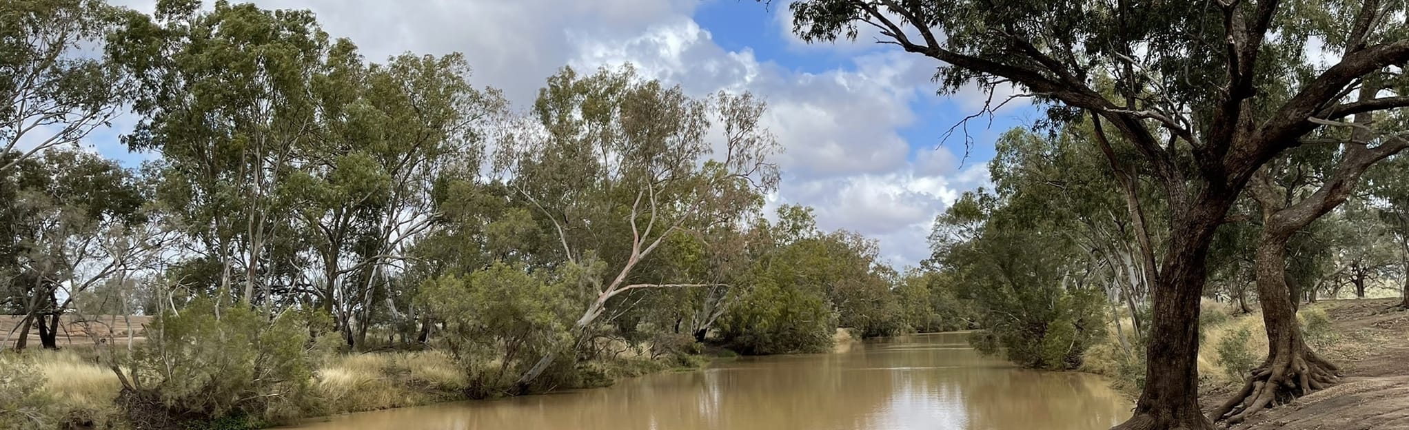 Warrego River Walk (Wadyanana), Queensland, Australia - 13 Reviews, Map ...