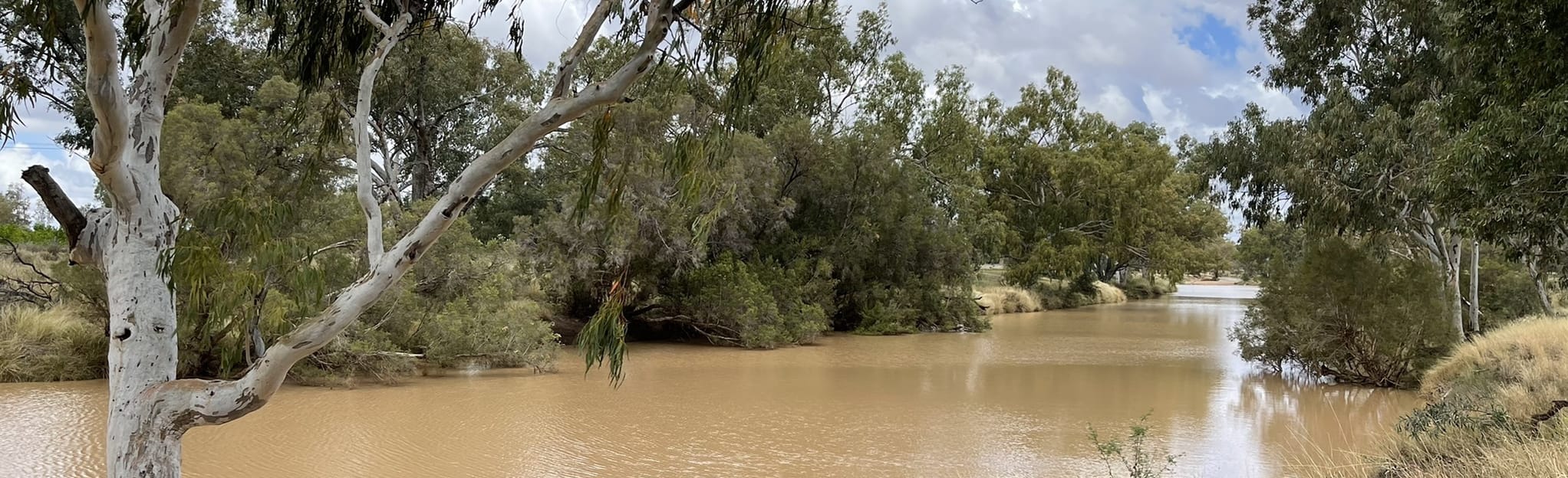 Warrego River Paddle Route: 1 Reviews, Map - Queensland, Australia ...