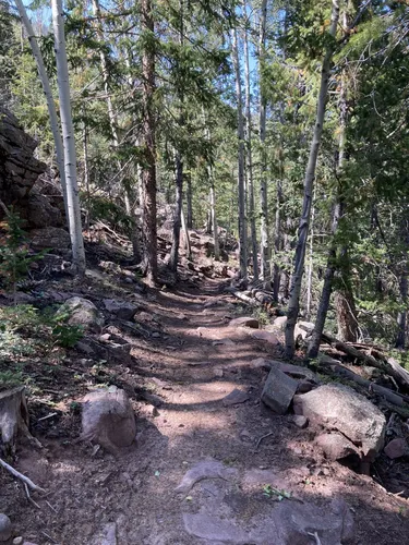 2023 Best Forest Trails in Tabiona | AllTrails