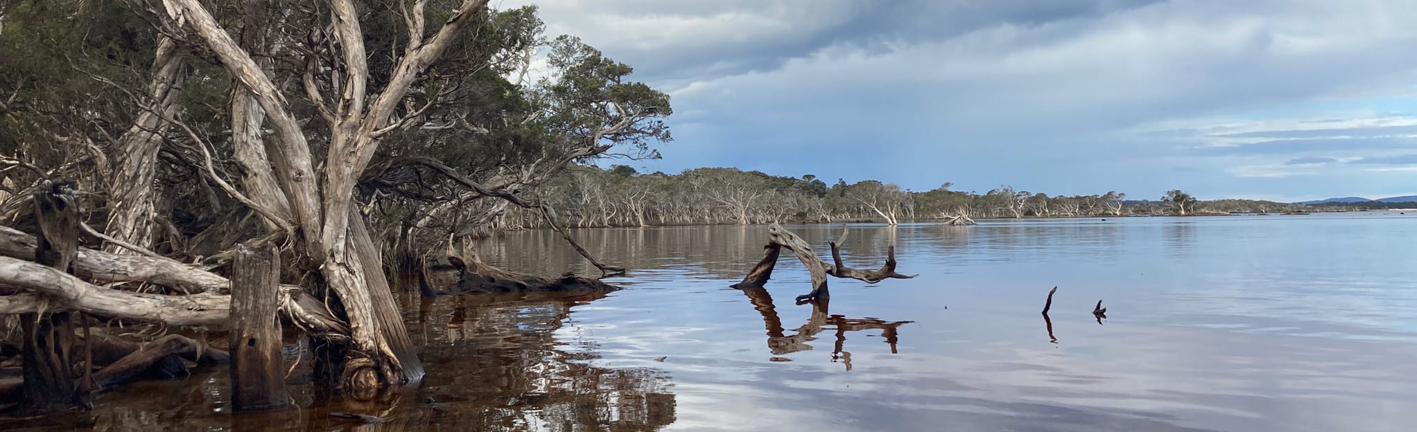 Broke Inlet Foreshore Walk, Western Australia, Australia - Map, Guide ...