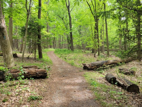 Best 10 Hikes and Trails in Gunpowder Falls State Park | AllTrails