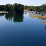 American River Bike Trail (Jedediah Smith Memorial Trail), California ...