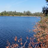 American River Bike Trail (Jedediah Smith Memorial Trail), California ...
