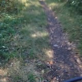 Pufferbelly Trail, Indiana - 459 Reviews, Map | AllTrails