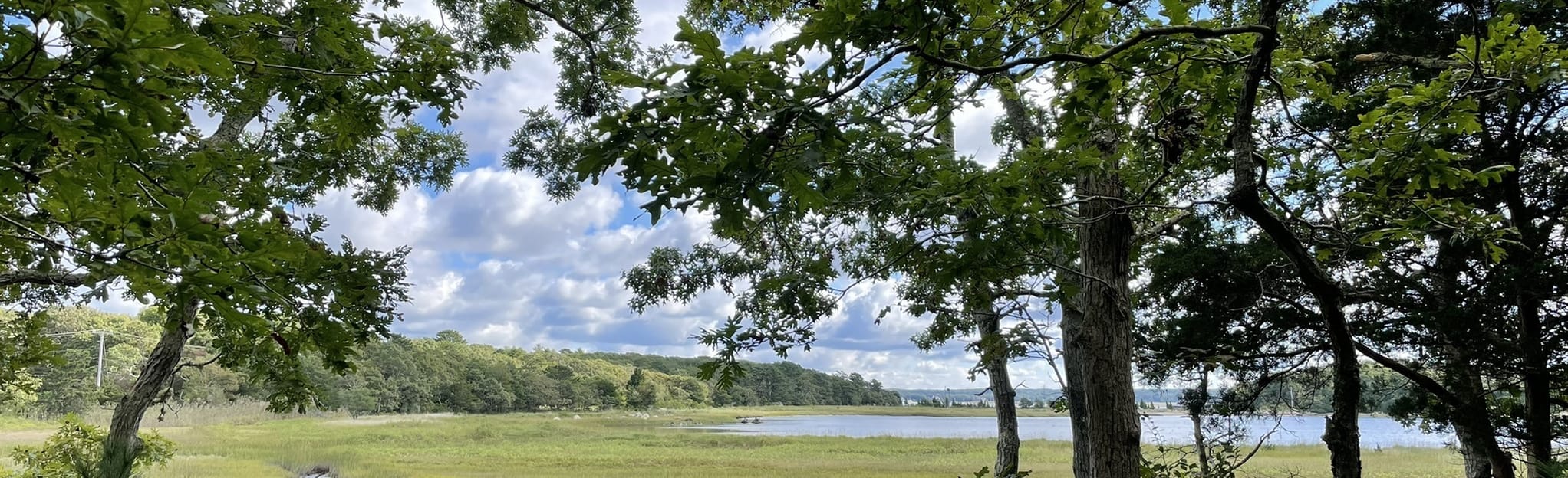 Heron Point Loop: 67 Reviews, Map - Massachusetts | AllTrails