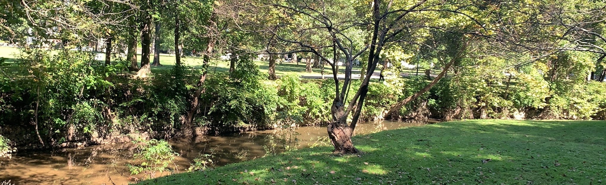 Ritter Park Loop: 152 Reviews, Map - West Virginia | AllTrails