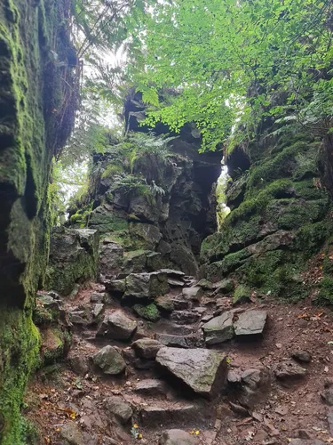 10 Best Trails, Walks, and Paths in Cheshire | AllTrails