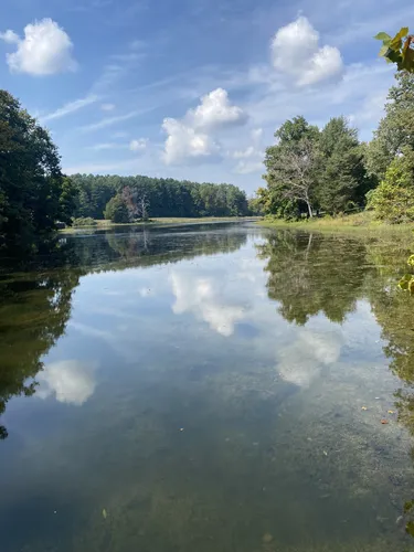 10 Best Hikes and Trails in Bernheim Arboretum and Research Forest ...