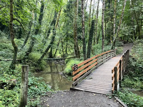 10 Best Trails and Hikes in Lake Oswego | AllTrails