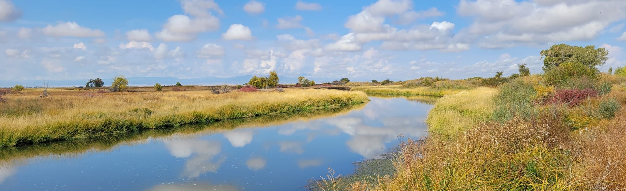 Alamosa National Wildlife Refuge River Road Trail, Colorado - 30 ...