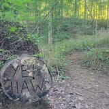 Haw River Trail in Saxapahaw, North Carolina - 209 Reviews, Map | AllTrails