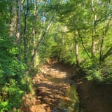 Haw River Trail in Saxapahaw, North Carolina - 209 Reviews, Map | AllTrails