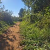 Haw River Trail in Saxapahaw, North Carolina - 209 Reviews, Map | AllTrails
