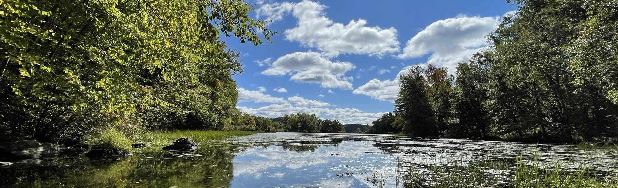 Splitrock Reservoir Trail, New Jersey - 492 Reviews, Map | AllTrails
