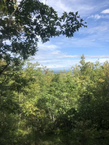 10 Best Trail Running Trails in Bear Brook State Park | AllTrails