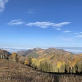 Wasatch Crest Trail, Utah - 315 Reviews, Map | AllTrails