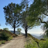 Aliso Summit Trail, California - 319 Reviews, Map | AllTrails
