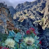Banhoek Conservancy Waterfall Hike, Western Cape, South Africa - 132 ...