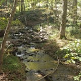 Paulinskill Valley Rail Trail , New Jersey - 163 Reviews, Map | AllTrails