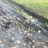 Paulinskill Valley Rail Trail , New Jersey - 163 Reviews, Map | AllTrails