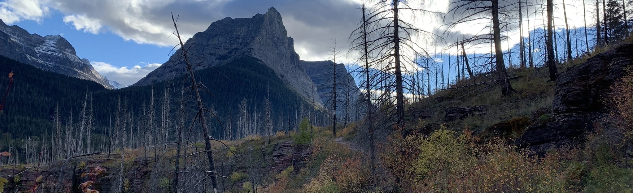 Piegan Pass: 6 Reviews, Map - Montana | AllTrails