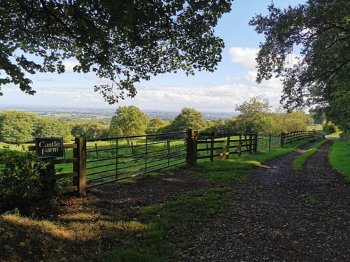 10 Best Hikes and Trails in Blackdown Hills Area of Outstanding Natural ...