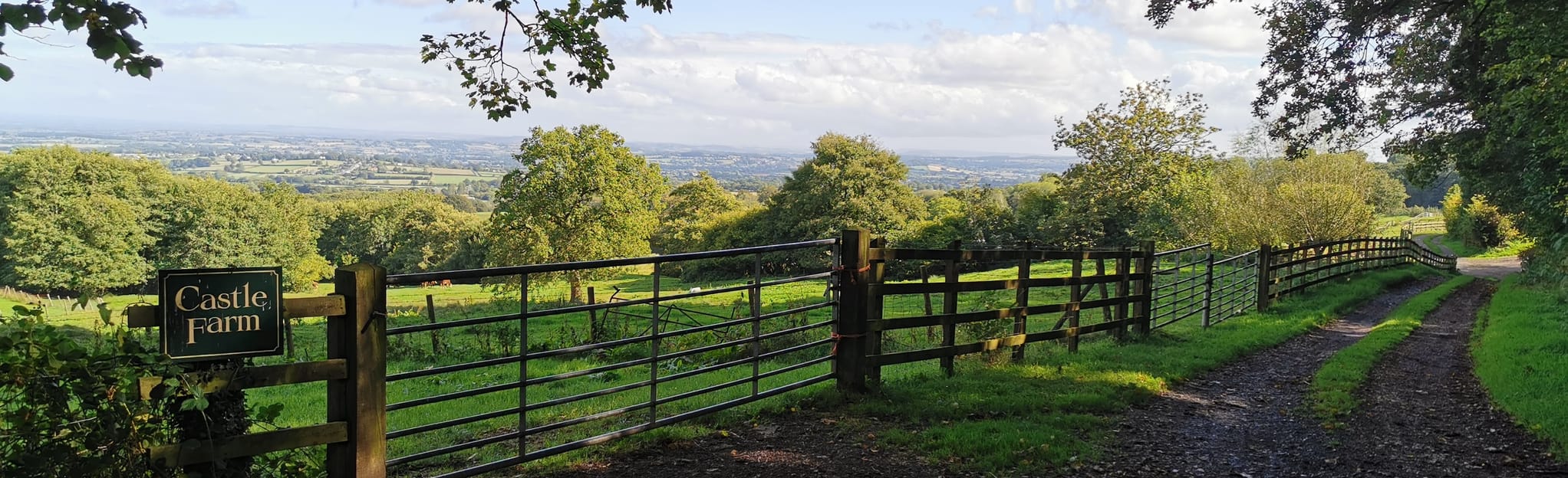 Castle Neroche Herepath Trail, Somerset, England - 148 Reviews, Map | AllTrails