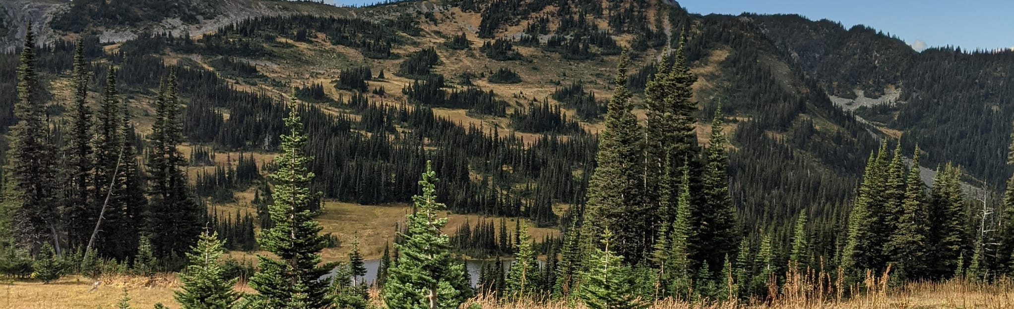 Fang Mountain Trail, British Columbia, Canada - 51 Reviews, Map | AllTrails