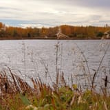 Alix Lake Nature Trail, Alberta, Canada - 62 Reviews, Map | AllTrails