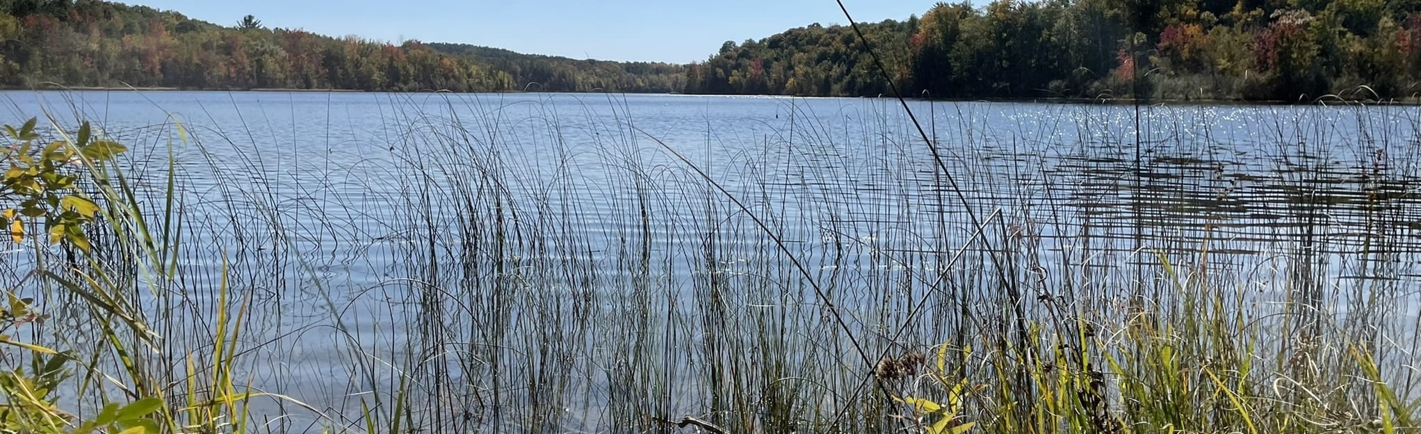 Cedar Run Loop: 283 Reviews, Map - Michigan | AllTrails