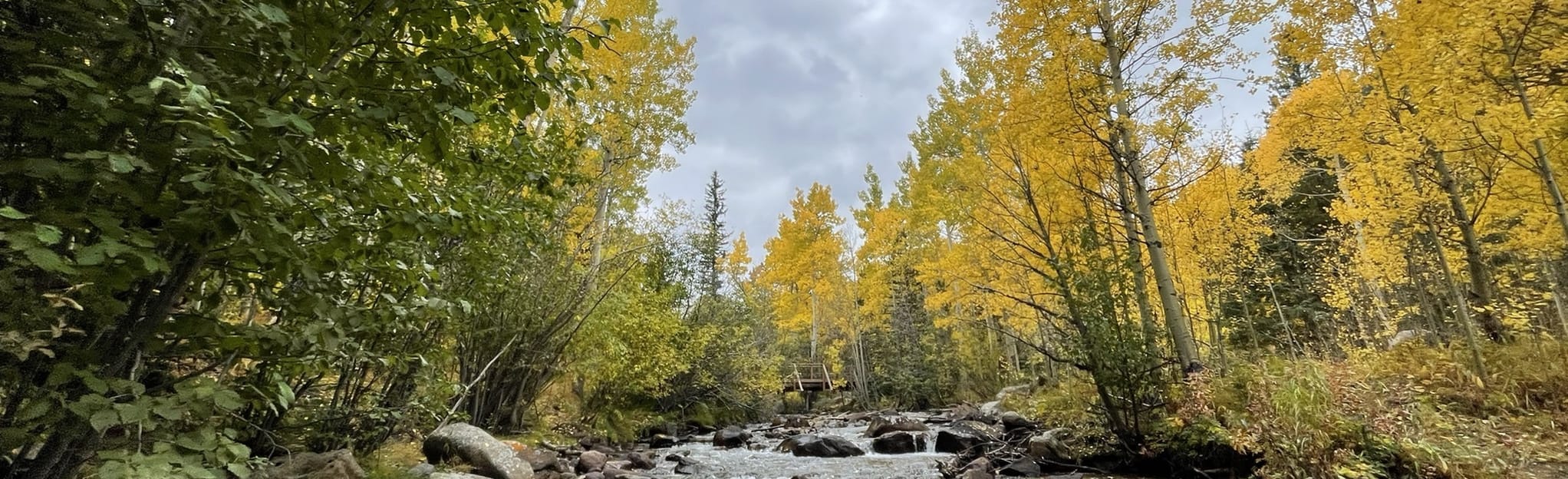 Chicago Road Trail, Colorado - 8 Reviews, Map | AllTrails