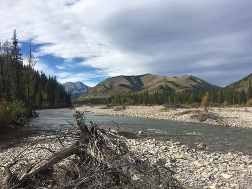 Best Hikes and Trails in Sundre | AllTrails