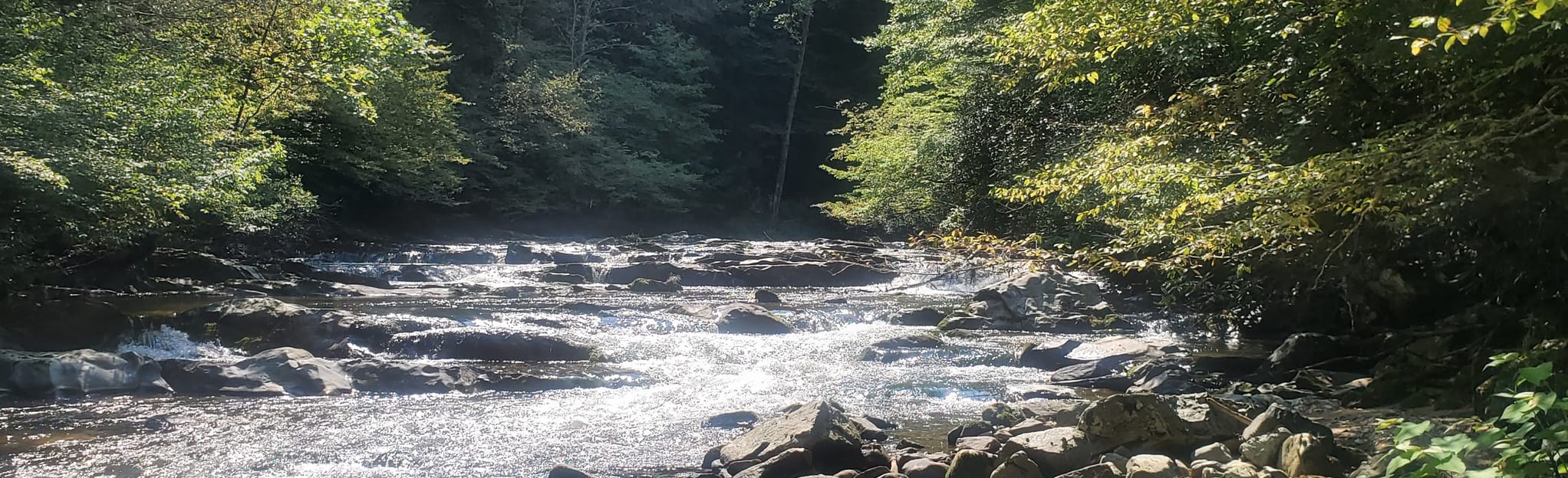 Spring Creek Loop via Rocky Bluff Campground: 45 Reviews, Map - North ...