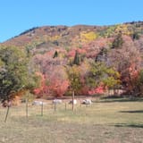 Spring Canyon Trail, Utah - 304 Reviews, Map | AllTrails