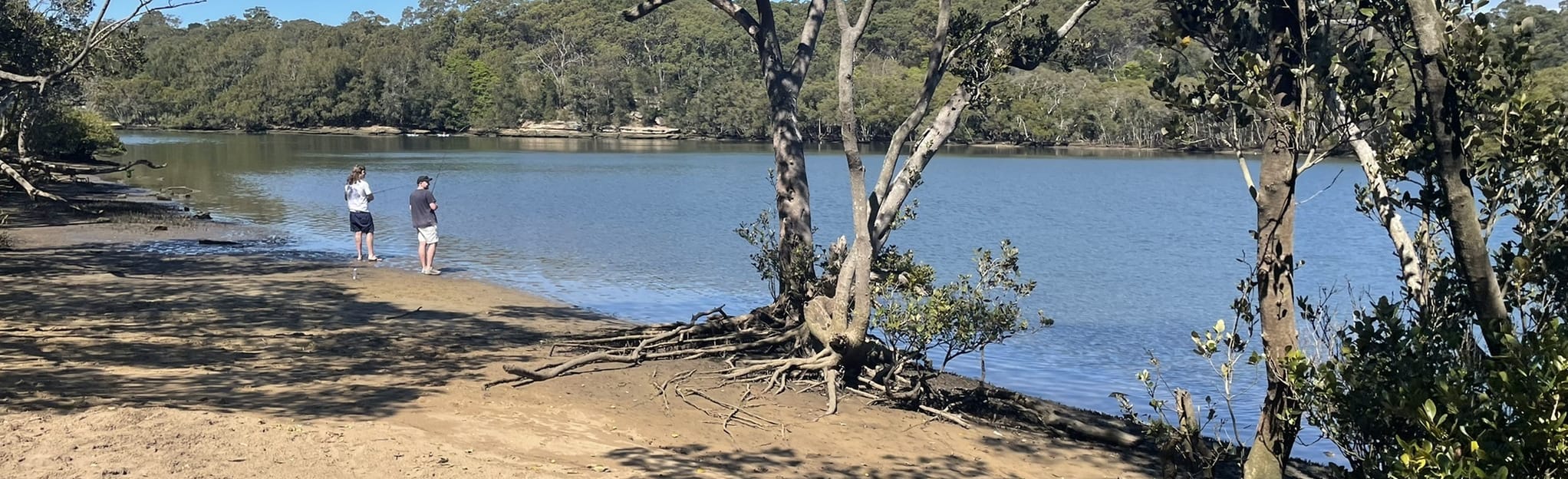 Lane Cove River Paddle: Epping Road to Sugarloaf Point, New South Wales ...