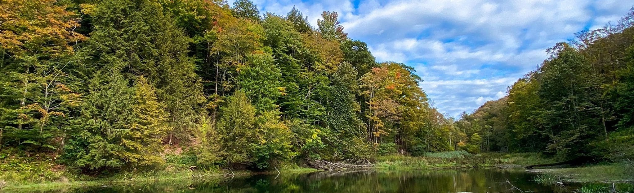 Five Falls Loop: 246 Reviews, Map - New York | AllTrails