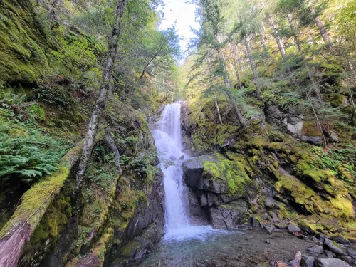 Best 10 Hiking Trails in Chilliwack Lake Provincial Park | AllTrails