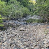 Conway Circuit (Whitsunday Great Walk), Queensland, Australia - 50 ...