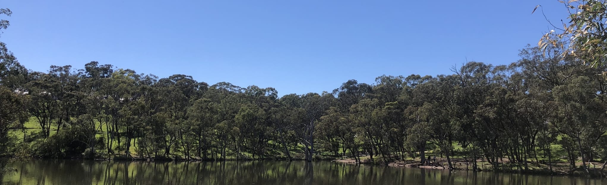 AllTrails | Sturt Gorge Recreation Park Perimeter Loop: 16 Reviews, Map ...
