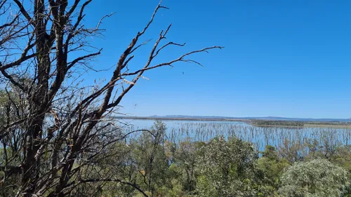 Best Hikes and Trails in Nuga Nuga National Park | AllTrails