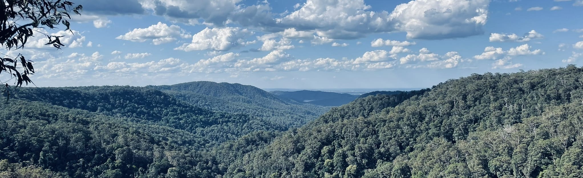 Purling Brook Falls Circuit via Warringa Pools: 192 Reviews, 1,169 ...