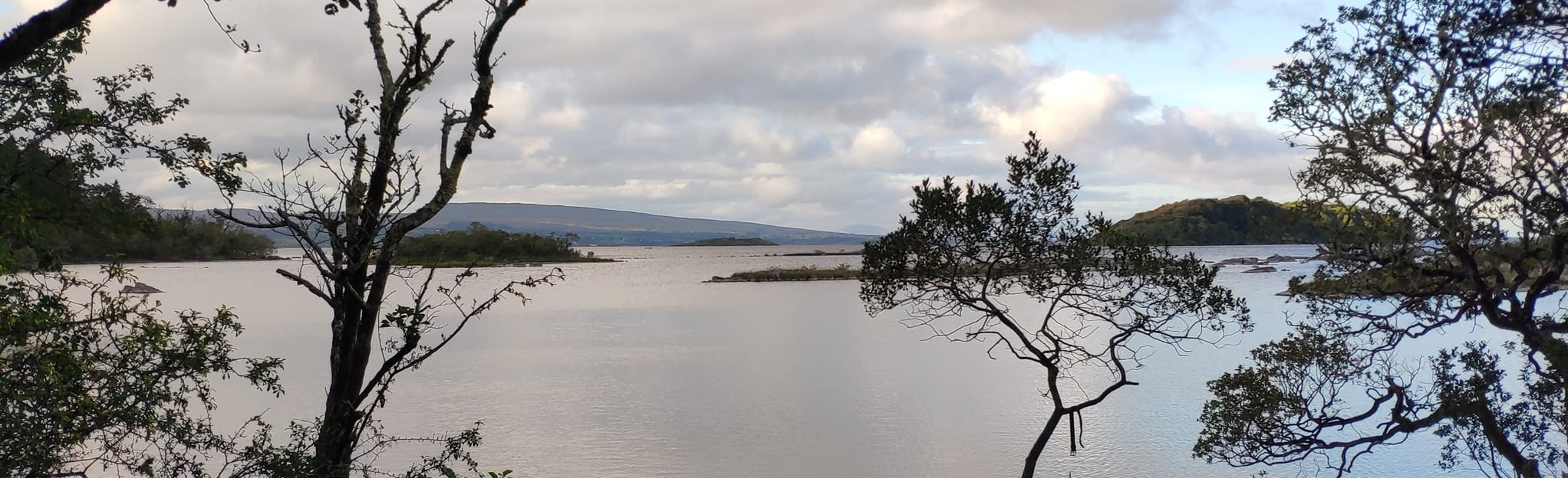 Ballykine Loop: Purple Trail: 27 Reviews, Map - County Galway, Ireland ...