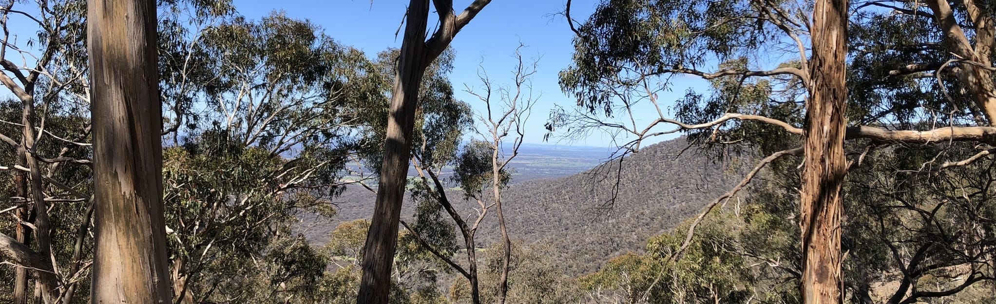 Mount Avoca via Valley Walk, Main Break, and Fraser Track, Victoria ...