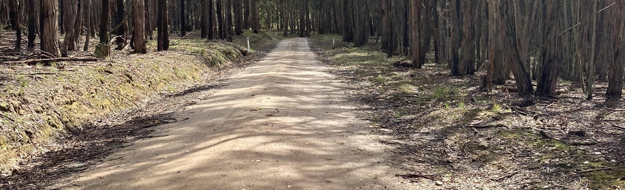 Bostock and Whipstick Loop: 56 foto's - Victoria, Australië | AllTrails