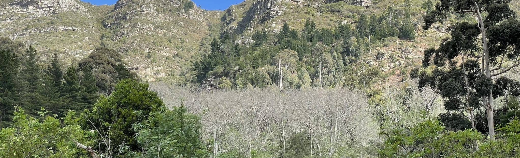 Cecilia Forest via Cecelia Stream, Western Cape, South Africa - 109 ...