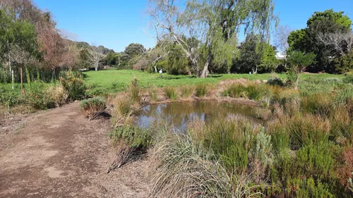 10 Best Kid Friendly Trails in Cape Town | AllTrails