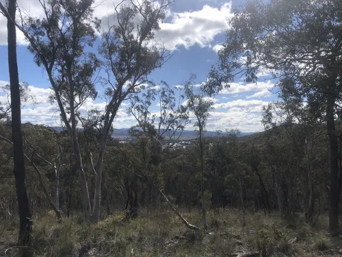 Best Hikes and Trails in Jerrabomberra Mountain Reserve | AllTrails